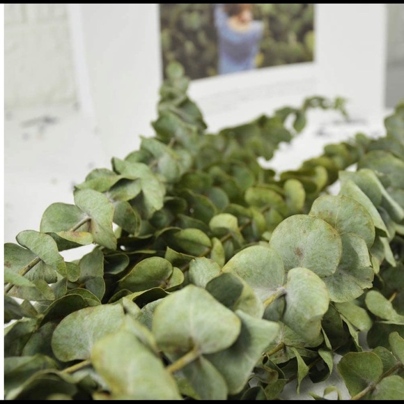Other | Eucalyptus Sprigs Fresh Real | Poshmark